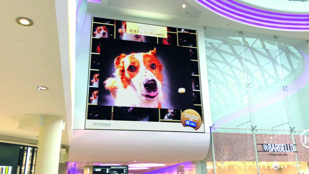 LED Wall Signage: Ein starker und dynamischer Weg zu kommunizieren